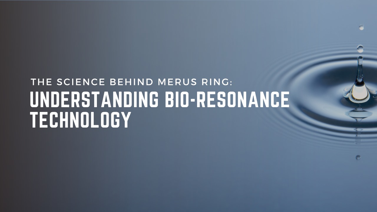 Merus Training – merussa.co.za